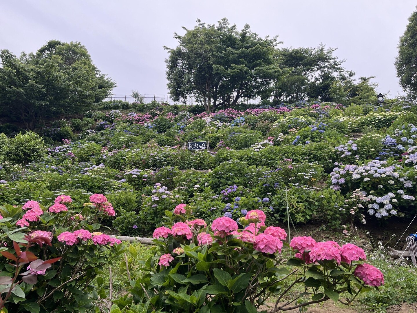 六国見山・勝上山・鷲峰山・大丸山（朝トレ） / takeyanさんの鎌倉アルプス（大平山・天台山）の活動データ | YAMAP / ヤマップ