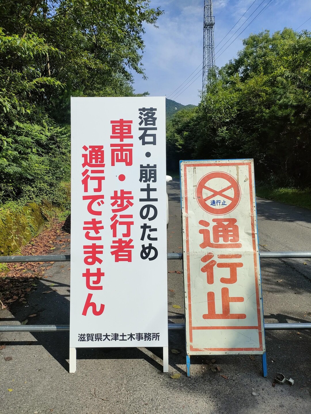 今朝イン谷口の駐車場に向かうと手前の道路... / 一本満足さんのモーメント | YAMAP / ヤマップ