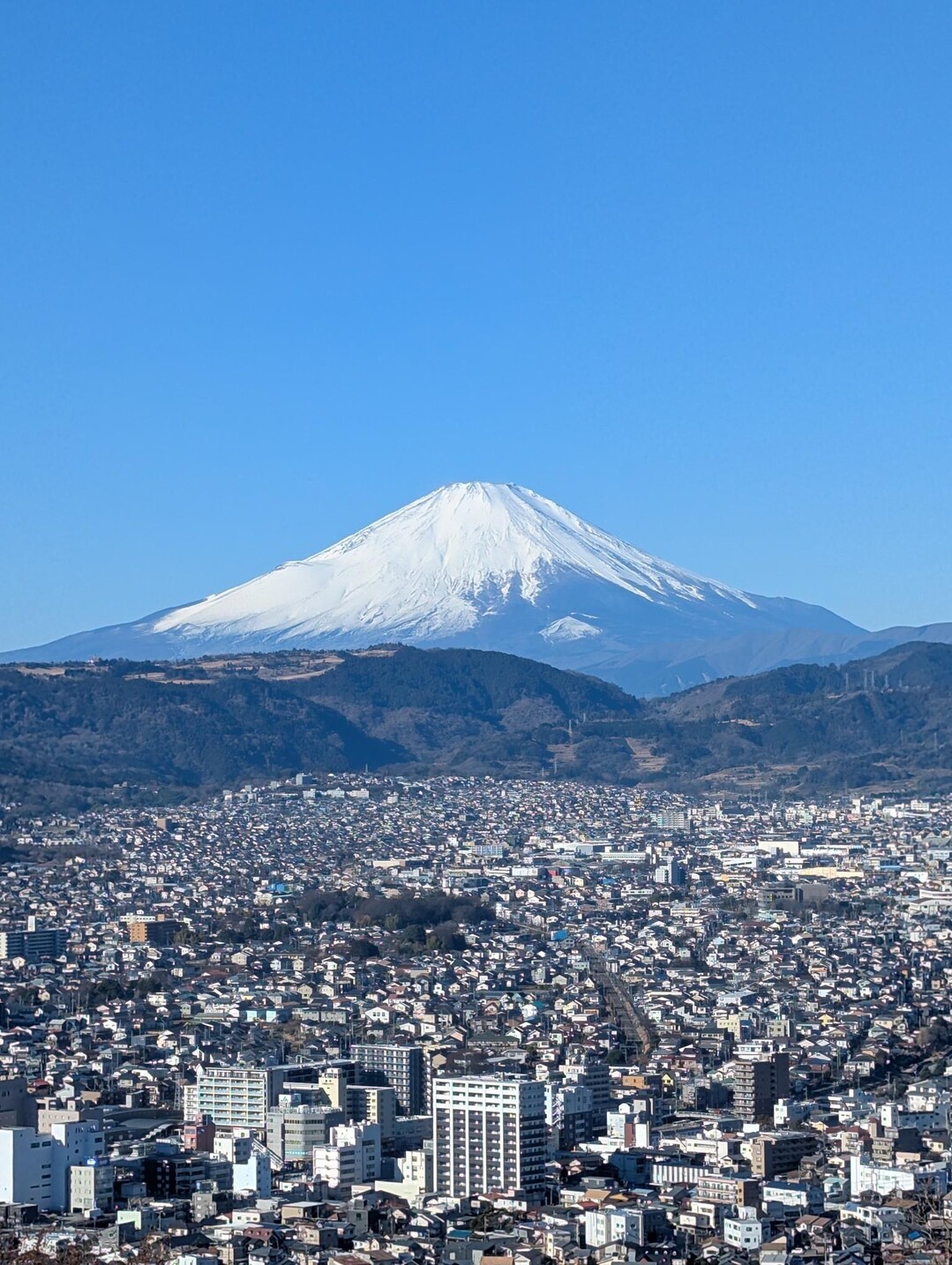 吾妻山・弘法山・権現山・浅間山 / Shun_Taさんの弘法山の活動データ | YAMAP / ヤマップ