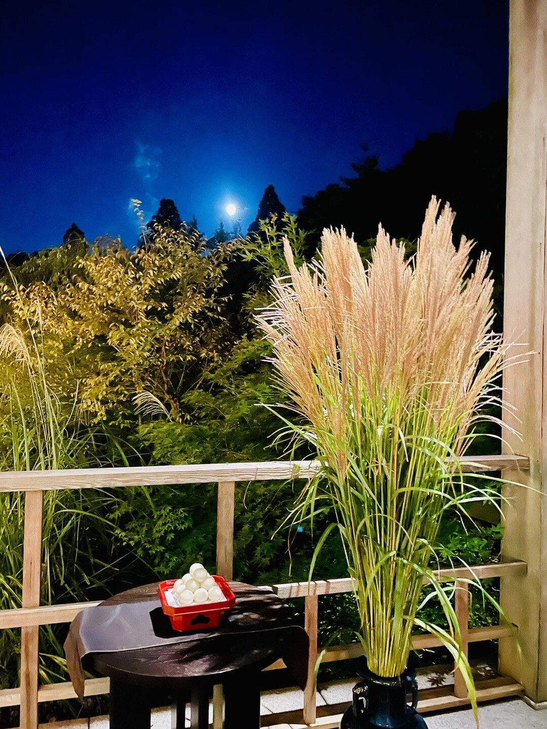 皆様こんにちは！ 登山とは関係ないのでモ... / Mtrさんのモーメント | YAMAP / ヤマップ