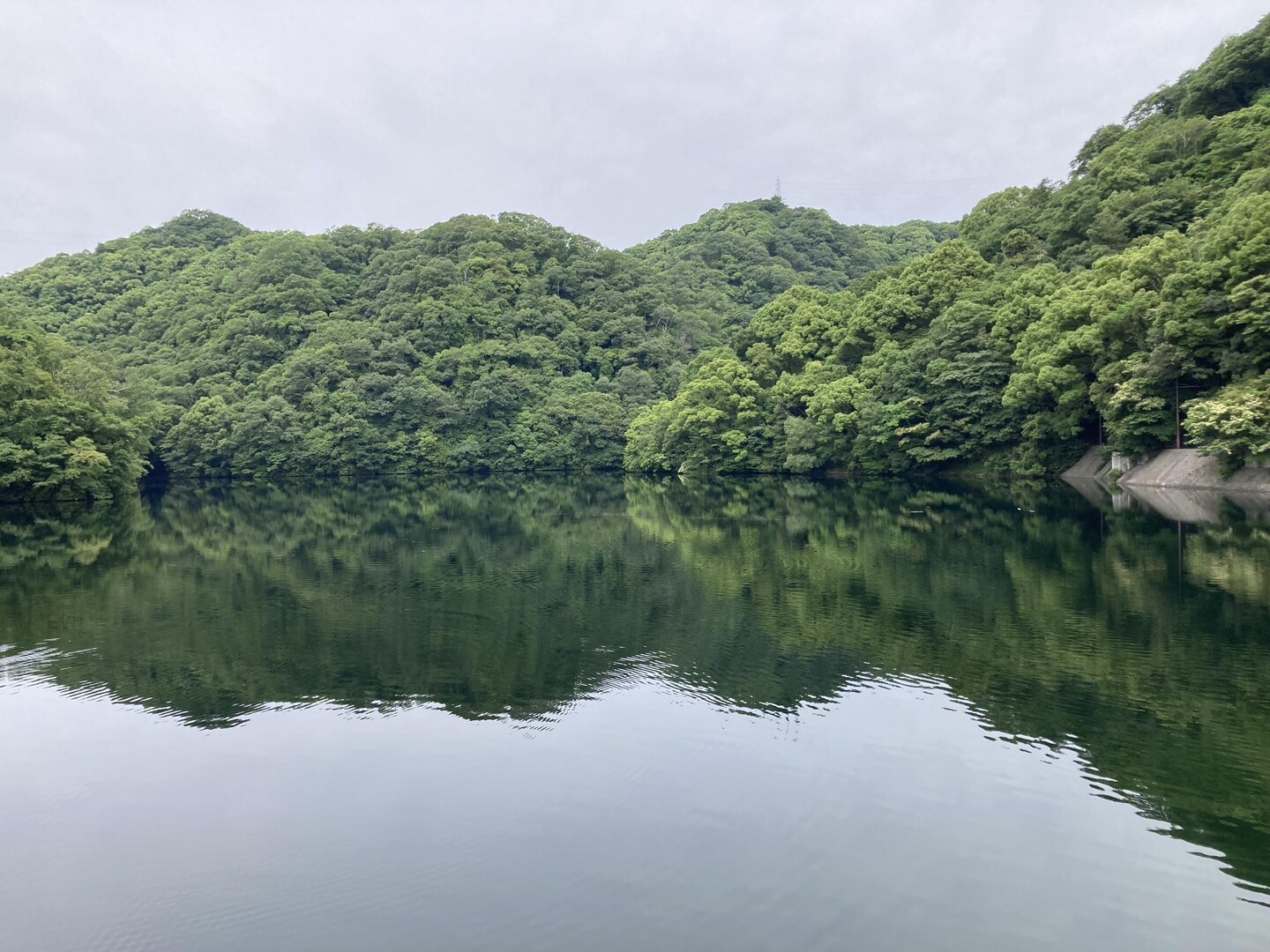 ウォーキング-2023-06-25 / たわしさんのウォーキングの活動日記 | YAMAP / ヤマップ