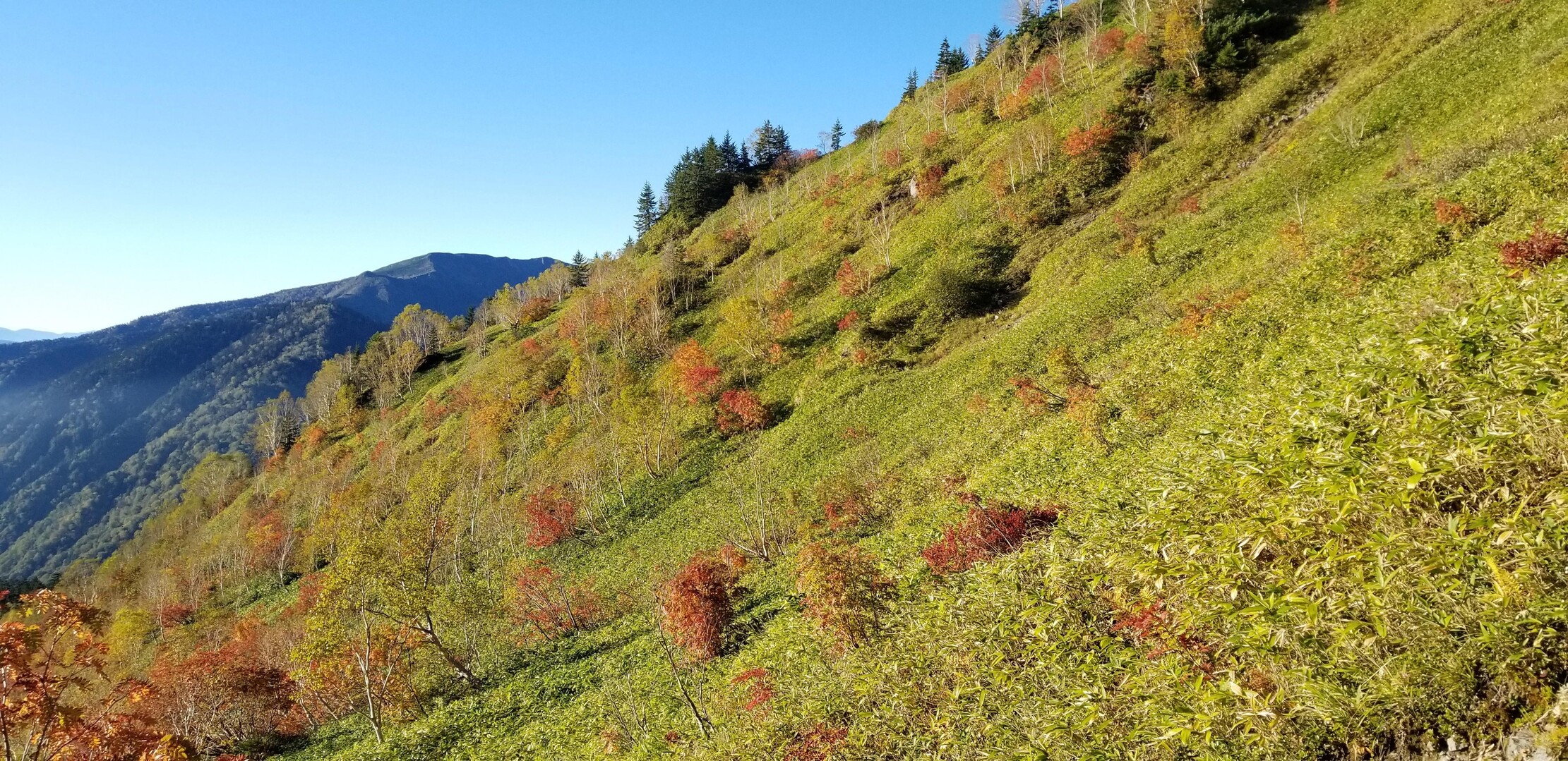 焼岳(北峰)・上高地〜🍁上高地が最高と思いきや、焼岳も最高でした〜 / fuku🐤fukuさんの槍ヶ岳・穂高岳・上高地の活動データ | YAMAP / ヤマップ