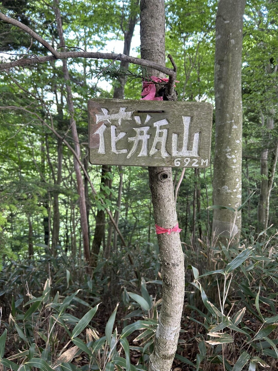 花瓶山・向山 / yuu39さんの花瓶山・見張山・戸屋山の活動データ | YAMAP / ヤマップ