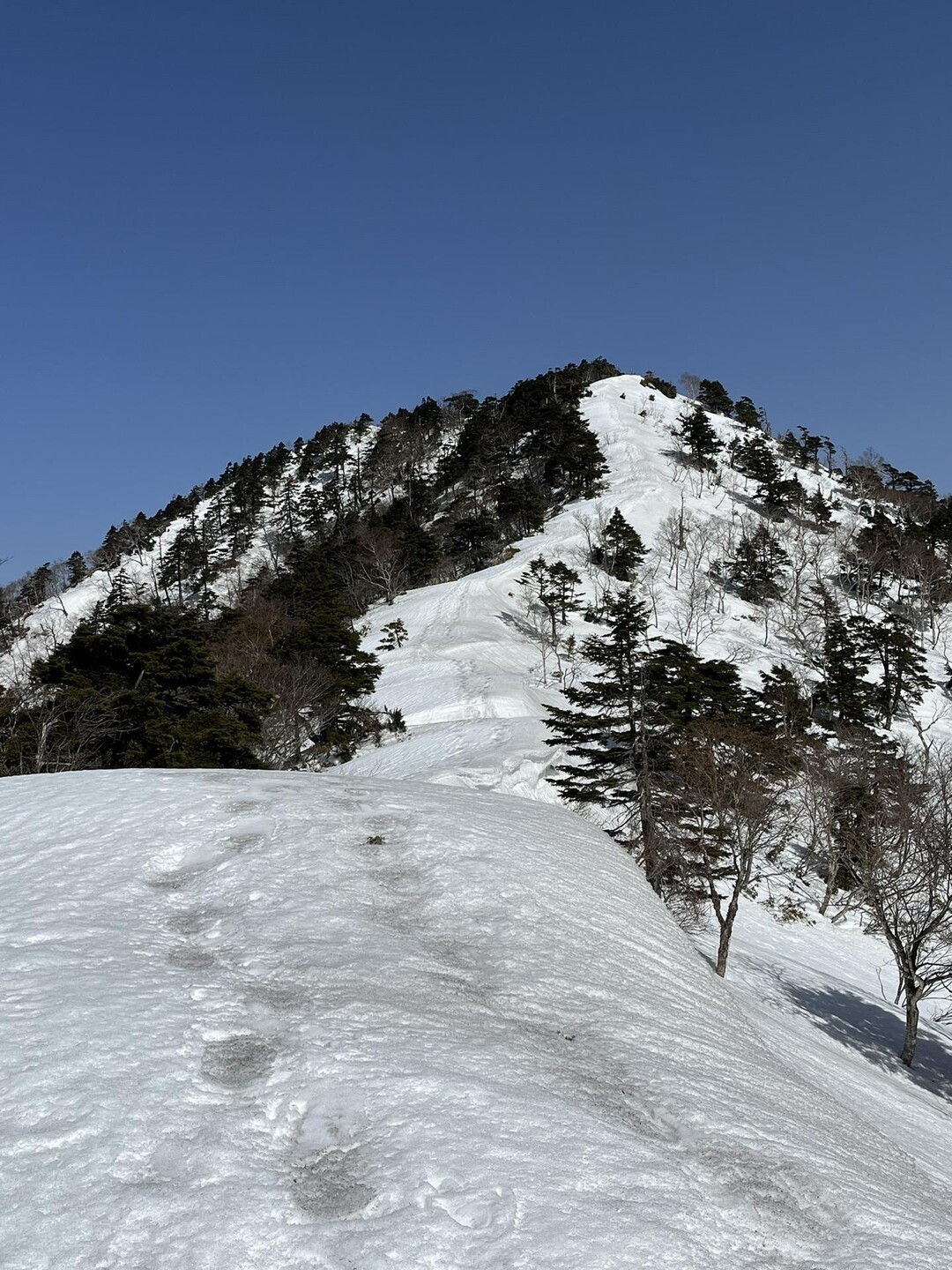 日留賀岳 / aji_sanさんの日留賀岳の活動データ | YAMAP / ヤマップ