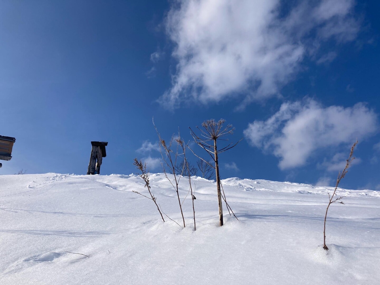 仁頃山 奥新道〜管理車道 / osa さんの仁頃山の活動データ | YAMAP / ヤマップ