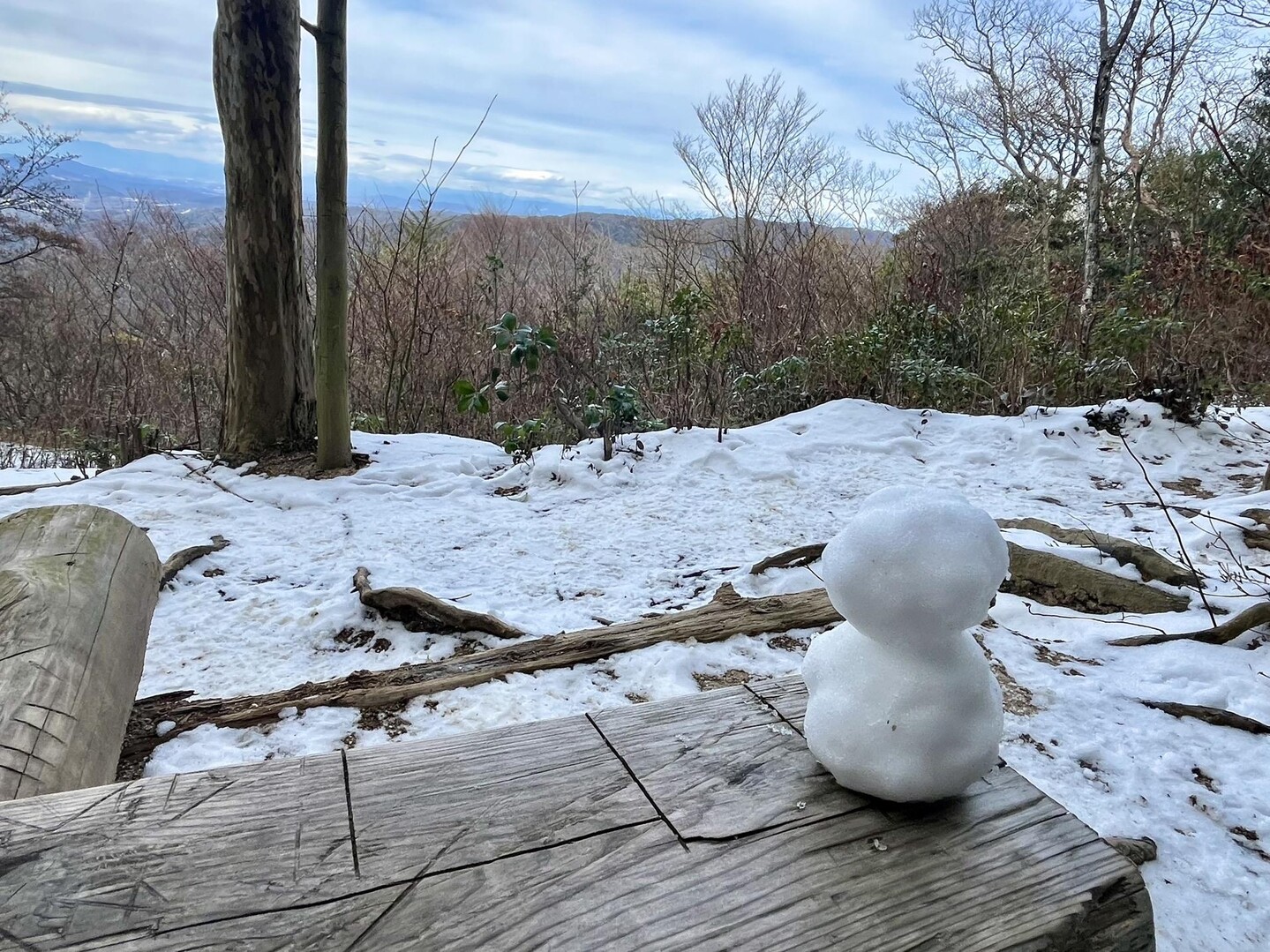 猿投山 / あやたかさんの猿投山・物見山の活動データ | YAMAP / ヤマップ