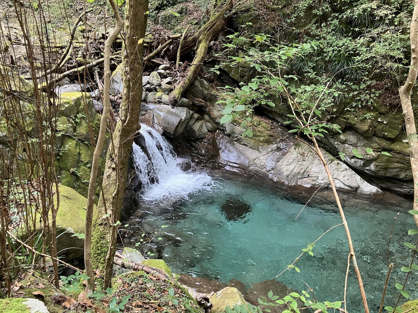 大室山・大杉丸 / Ok-836さんの大室山・畦ヶ丸山・菰釣山の活動データ | YAMAP / ヤマップ