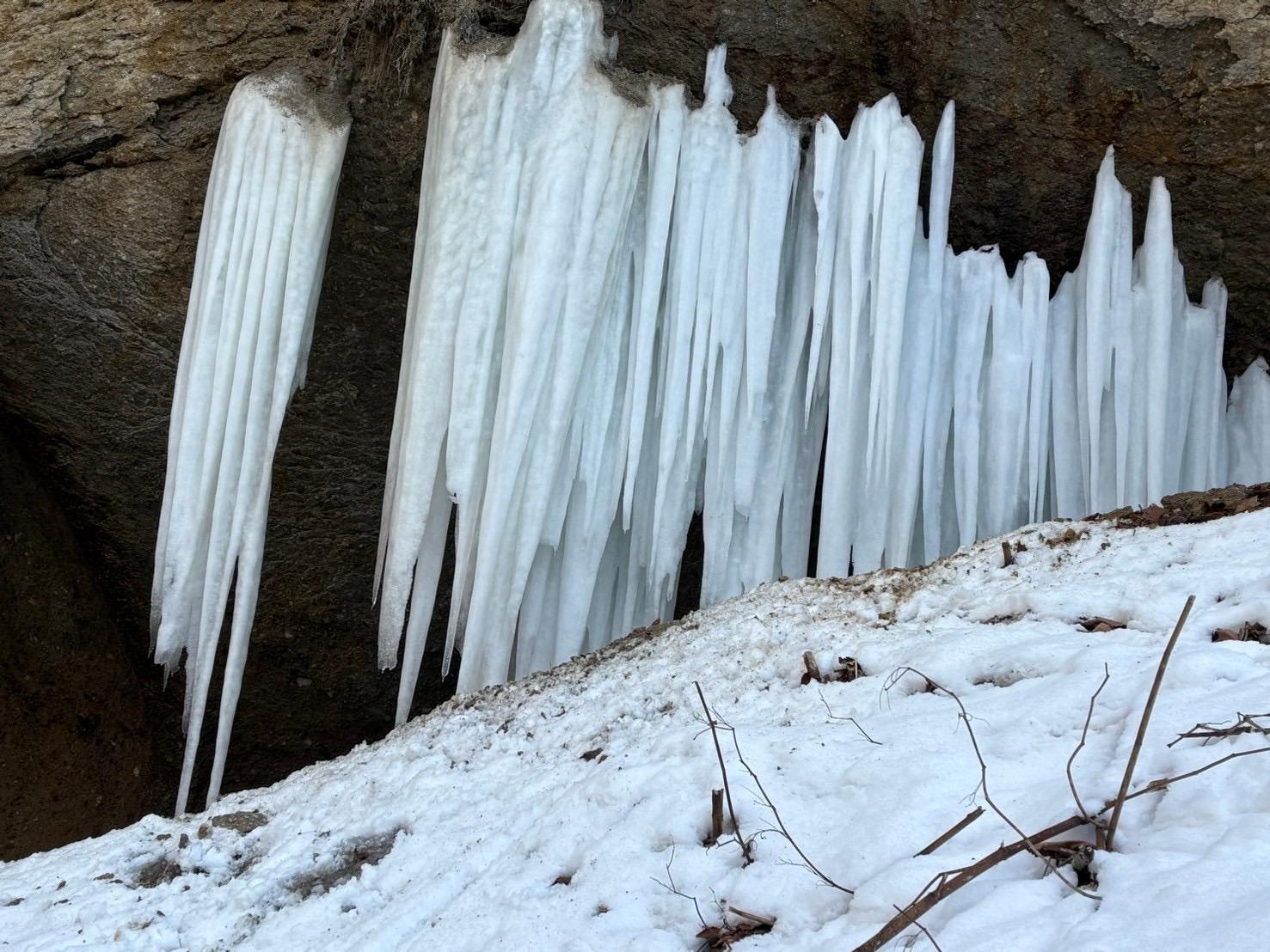 七条大滝の氷壁が‼️-2025-01-26 / junjunさんのウォーキングの活動データ | YAMAP / ヤマップ