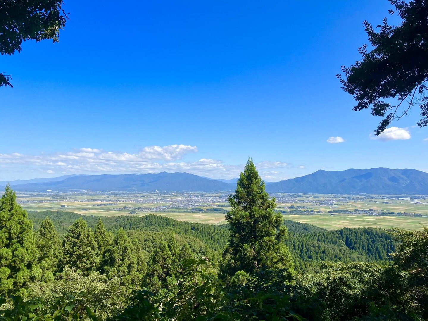 第83話・秋晴れ☀️ / Naluさんの菩提寺山・高立山・護摩堂山の活動データ | YAMAP / ヤマップ