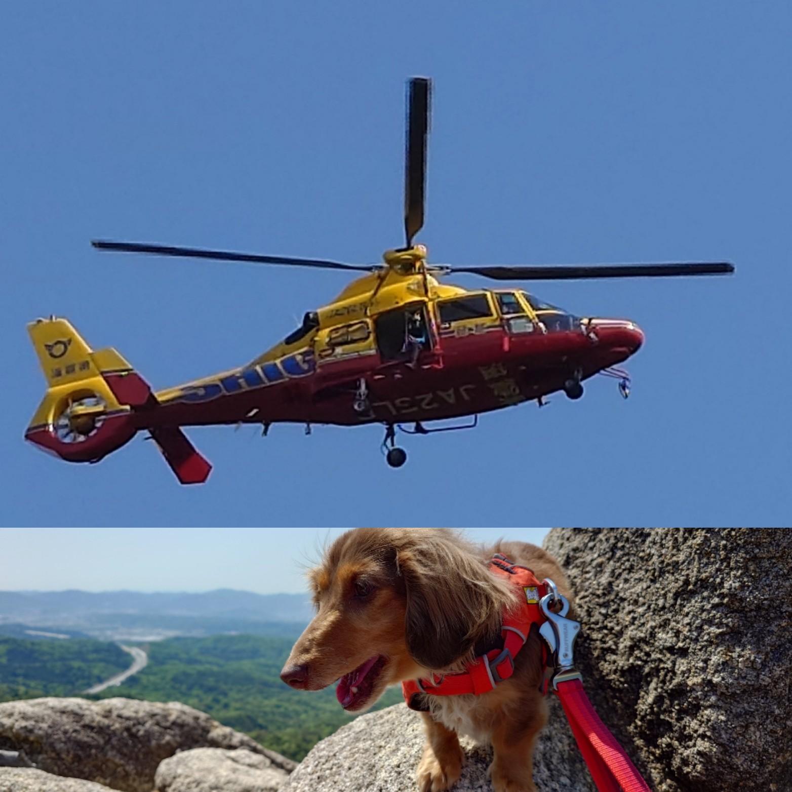もんちむ🐒ヘリコプター🚁に大興奮の天狗岩👺 wt 動画📹️付き / Pakkun🚶 & もんちむ🐒さんの金勝アルプス（鶏冠山・竜王山）の活動データ | YAMAP / ヤマップ