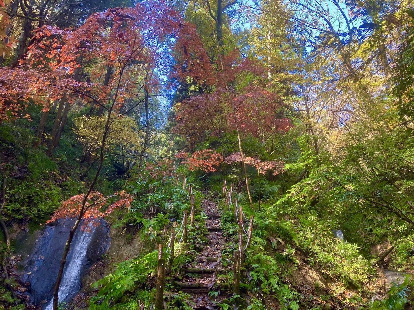 忘れていた名スポットへ🍁 ︎金比羅山 / Naluさんの菩提寺山・高立山・護摩堂山の活動データ | YAMAP / ヤマップ