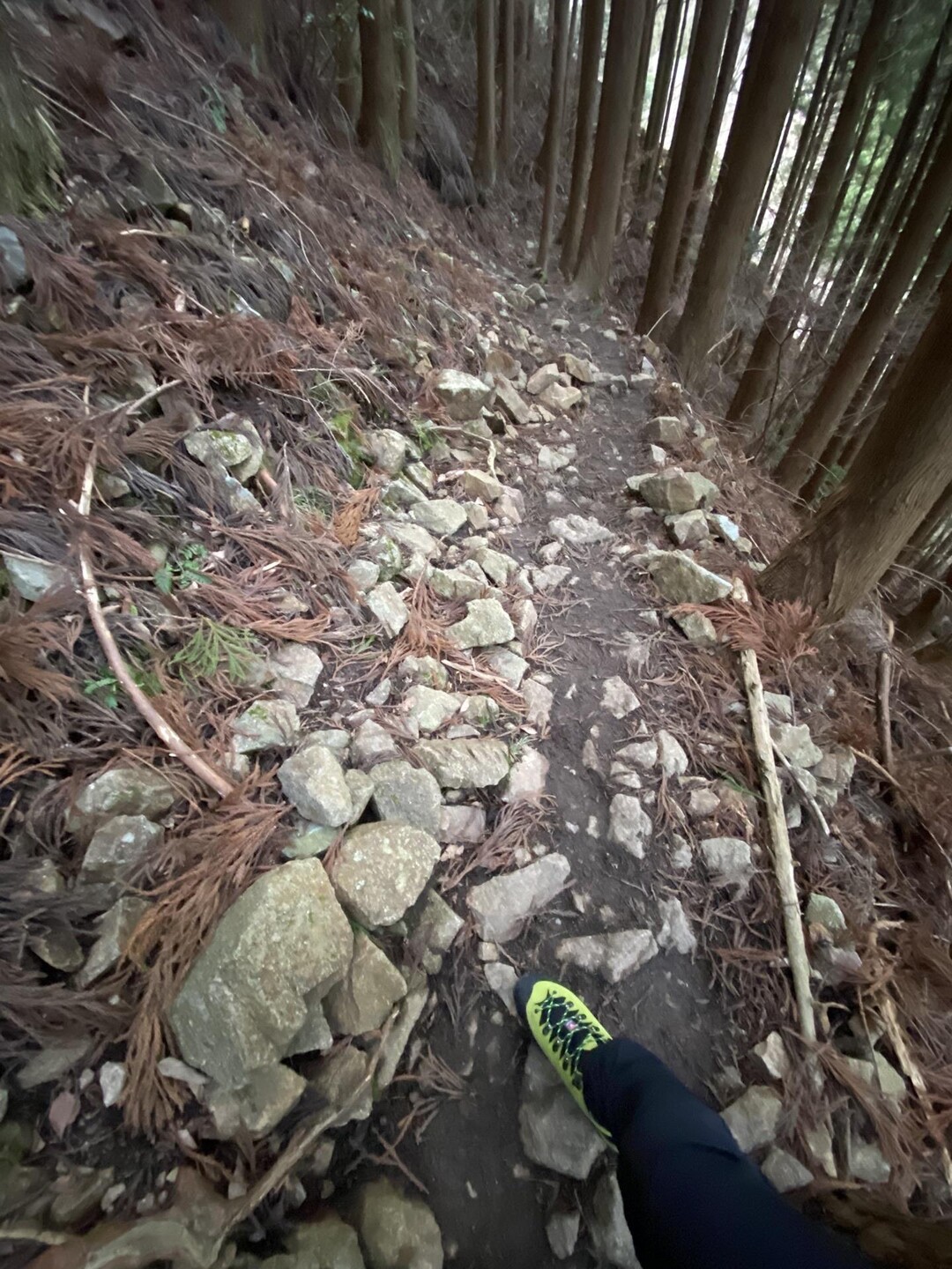 JUN’YAさんの投稿したフィールドメモ | YAMAP / ヤマップ