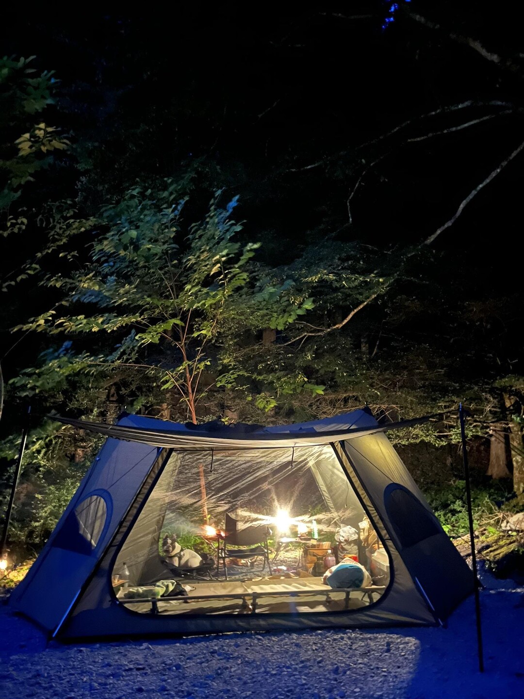 涼しくて最高👍🐶 アポロ爆睡中🐶‼... / F54JCWさんのモーメント | YAMAP / ヤマップ