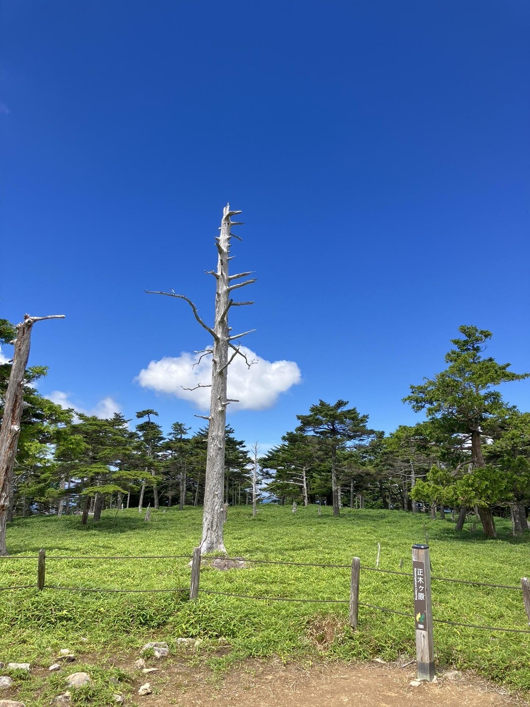 大台ヶ原山（日出ヶ岳） / K-TAさんの大台ヶ原山・日出ヶ岳・大杉谷の活動データ | YAMAP / ヤマップ