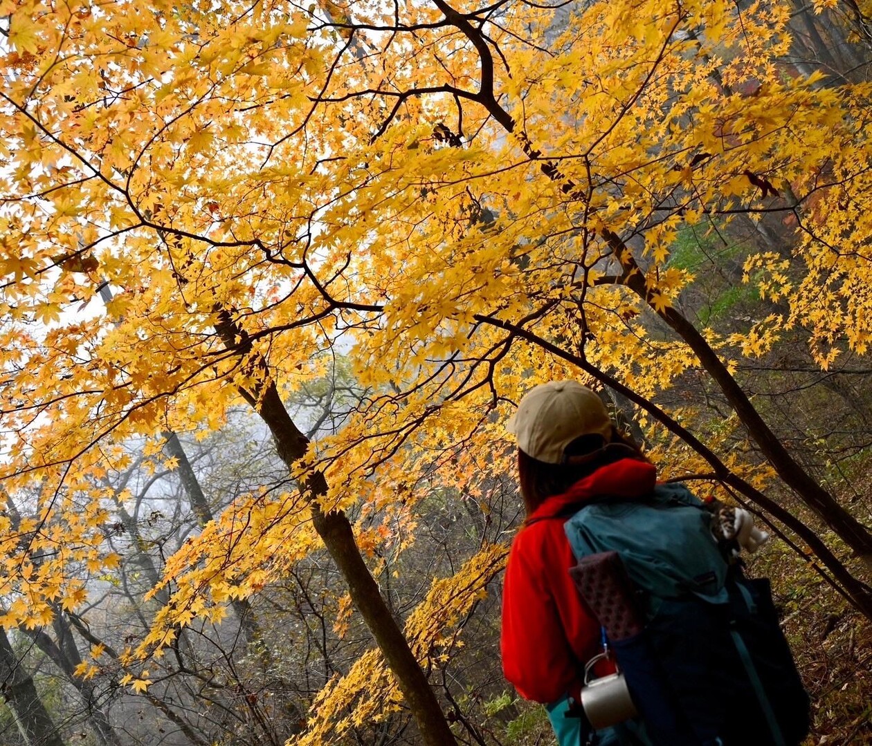 こだわりのYmd presentsᨒ𖡼.𖤣𖥧 日本一遅い山開き天狗山 / えみ(^_−)−☆さんの天狗山の活動データ | YAMAP / ヤマップ