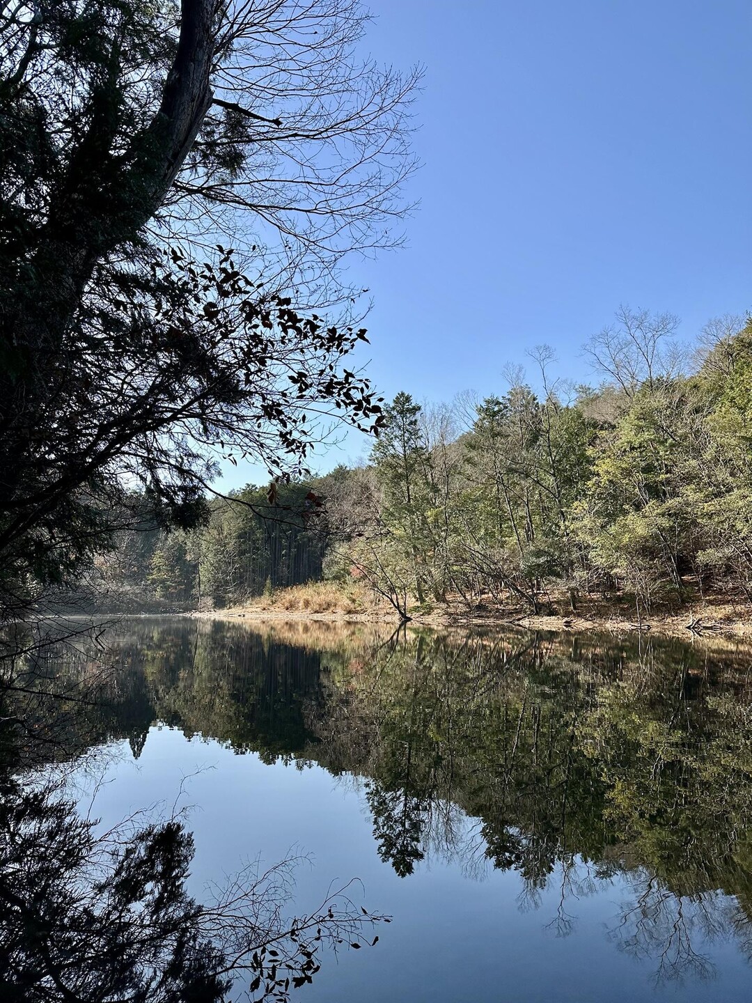 トレラン【嵯峨天皇陵・菖蒲谷池・長尾山】 / nao-saさんの京都一周トレイルの活動データ | YAMAP / ヤマップ