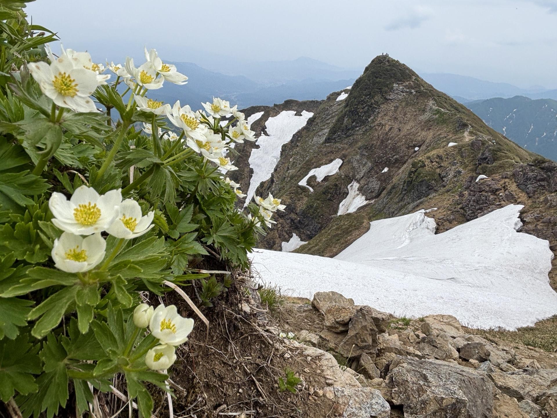 髙波菊男さんと取材した谷川岳 明日6/2... / u.igaさんのモーメント | YAMAP / ヤマップ
