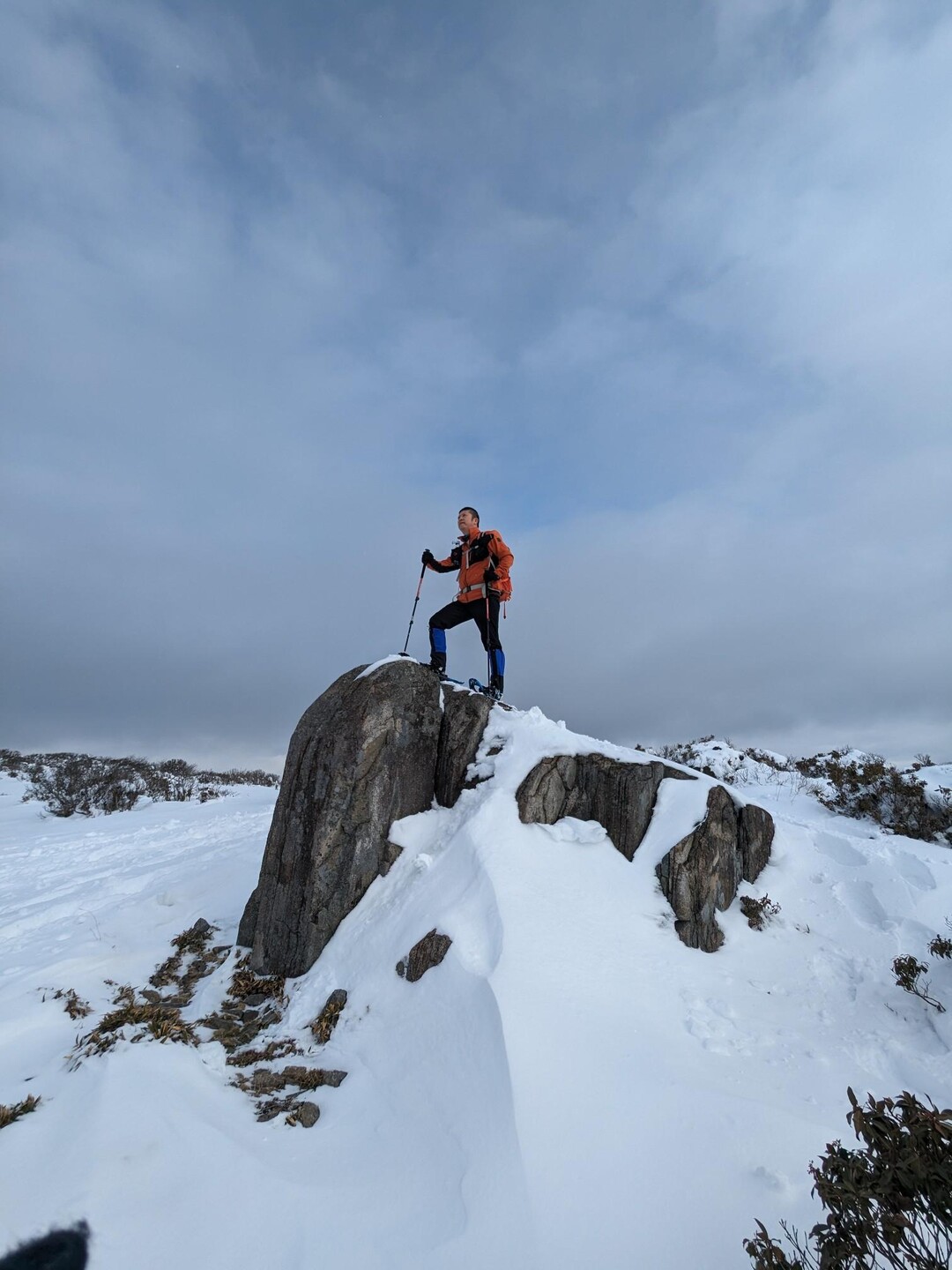 達磨ヶ峰・フトウガ峰・段ヶ峰 / AMA TREKさんの段ヶ峰・笠杉山・千町ヶ峰の活動日記 | YAMAP / ヤマップ