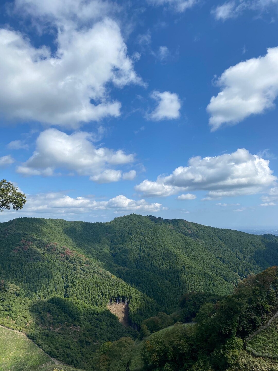 高水山・岩茸石山・惣岳山 / OS@MUさんの高水山・岩茸石山・惣岳山の活動データ | YAMAP / ヤマップ