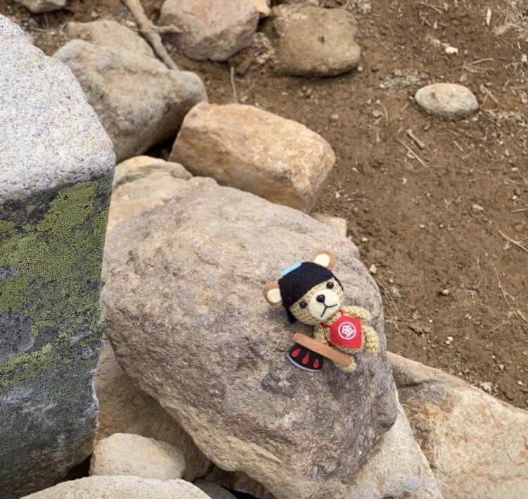 そういえば西天狗岳山頂の三角点脇にぬい... / R352さんのモーメント | YAMAP / ヤマップ
