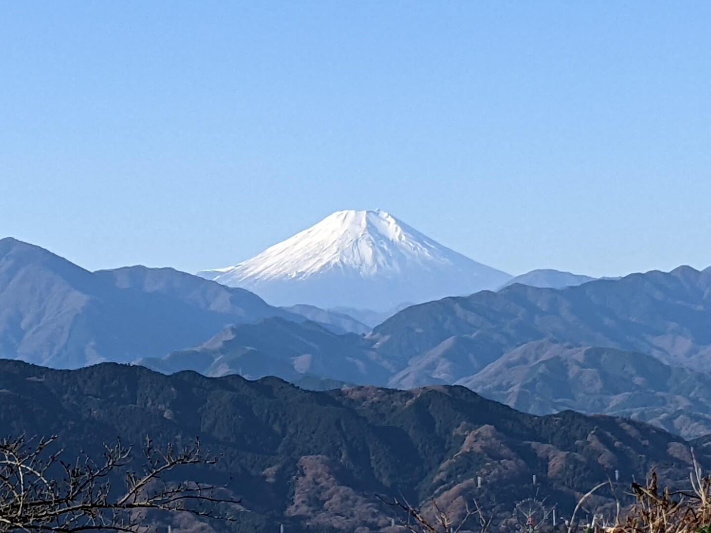 稲荷山・高尾山 / shimotakaさんの高尾山・陣馬山・景信山の活動データ | YAMAP / ヤマップ