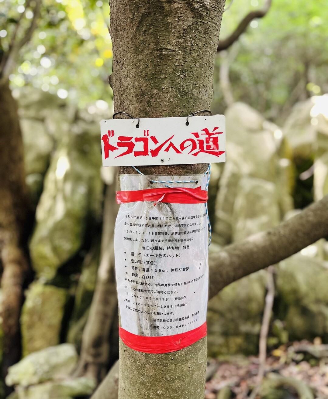 大変きつかった…竜ヶ鼻⛰️ / みちるさんの竜ヶ鼻の活動データ | YAMAP / ヤマップ