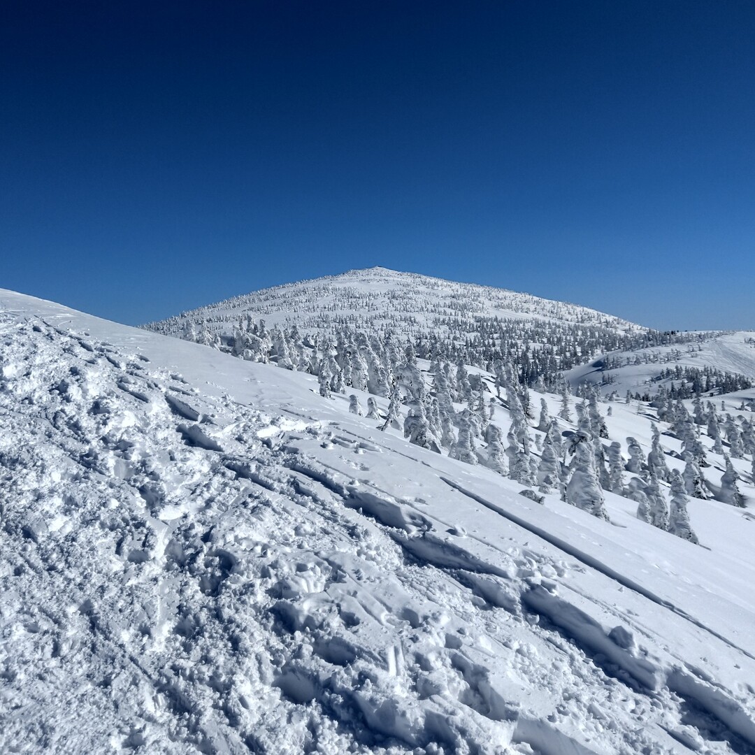 森吉山~紺碧と純白~ / shunさんの森吉山の活動データ | YAMAP / ヤマップ
