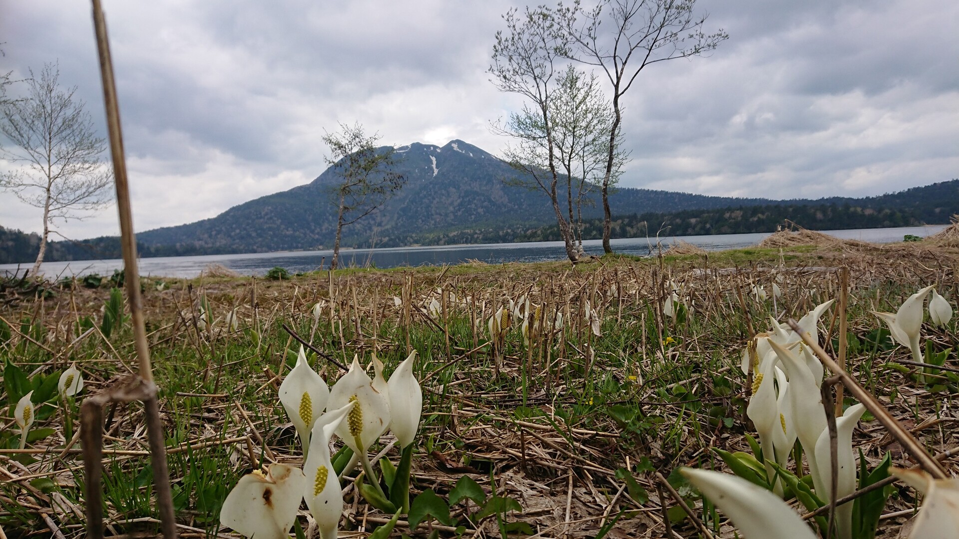 尾瀬沼 2021-06-02 / Yos 8611さんの尾瀬・燧ヶ岳の活動日記 | YAMAP / ヤマップ