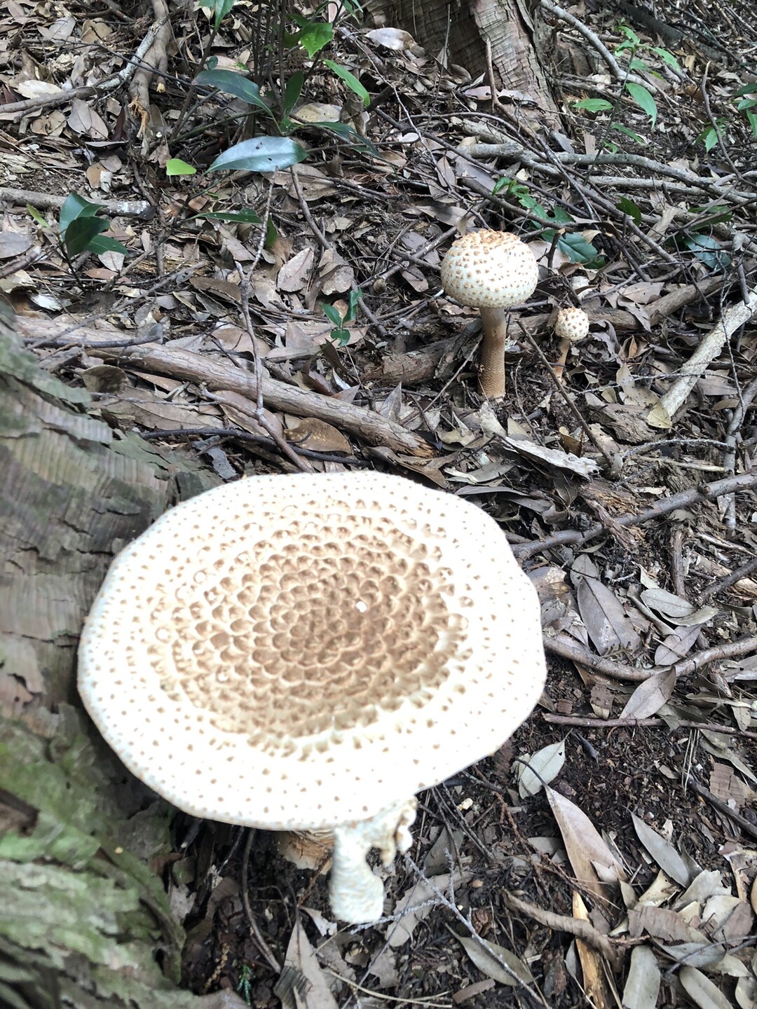 2022.07.20(水) 11:31 / ハマテツさんのモーメント | YAMAP / ヤマップ