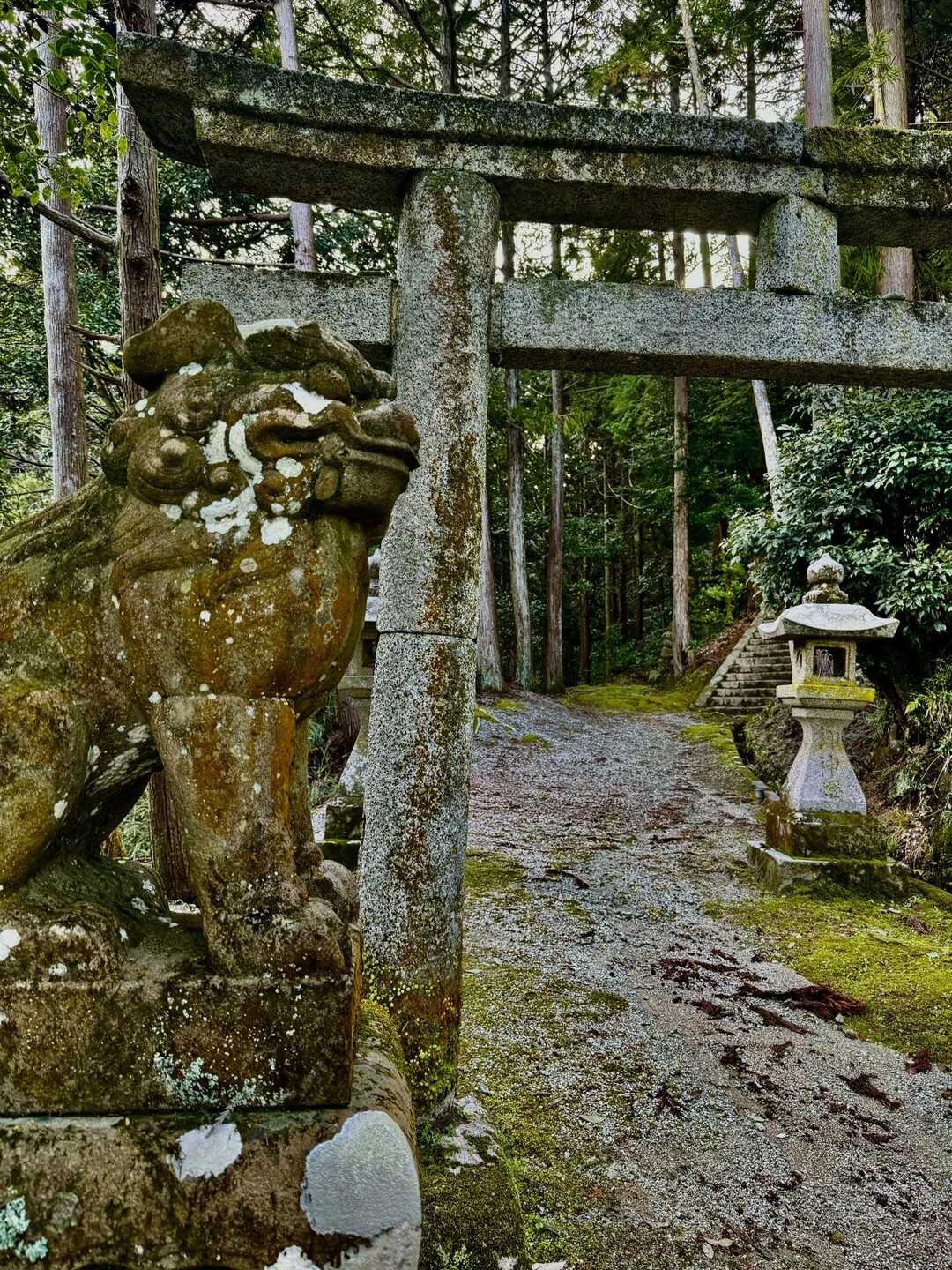 葛城修験第二十二経塚 参拝客として / ほの＆ひろ&BPさんの葛城修験エリアマップ（金剛山周辺）の活動データ | YAMAP / ヤマップ