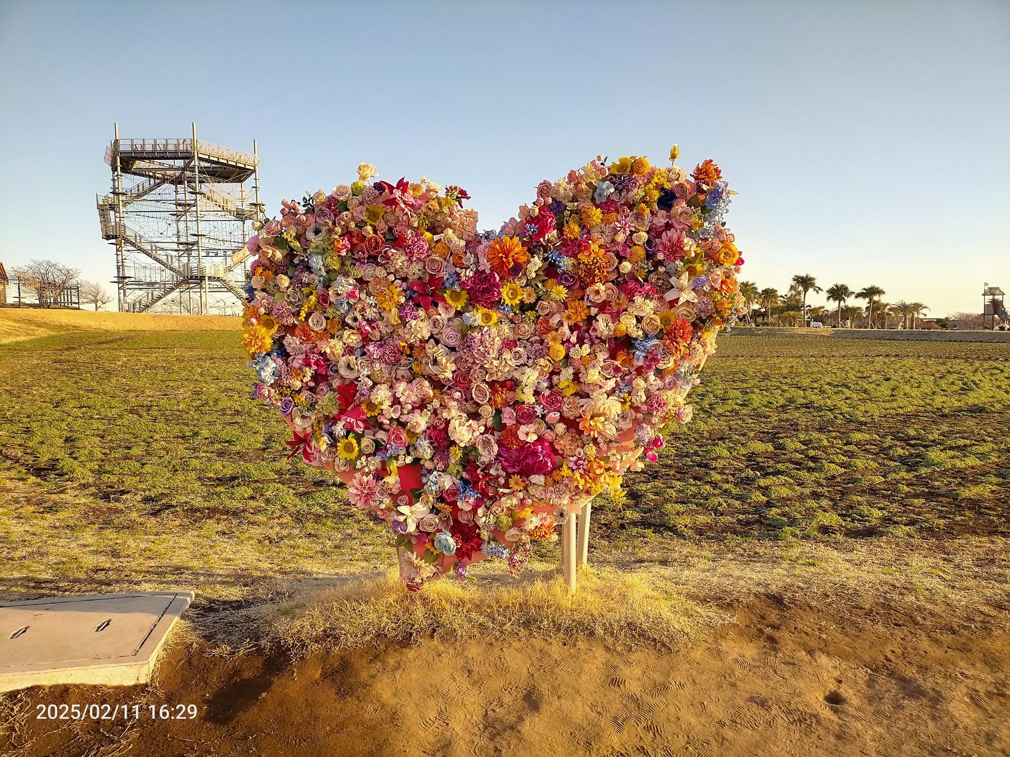 横須賀市・長井海の手公園 ソレイユの丘 / emma_in_jpさんのウォーキングの活動データ | YAMAP / ヤマップ