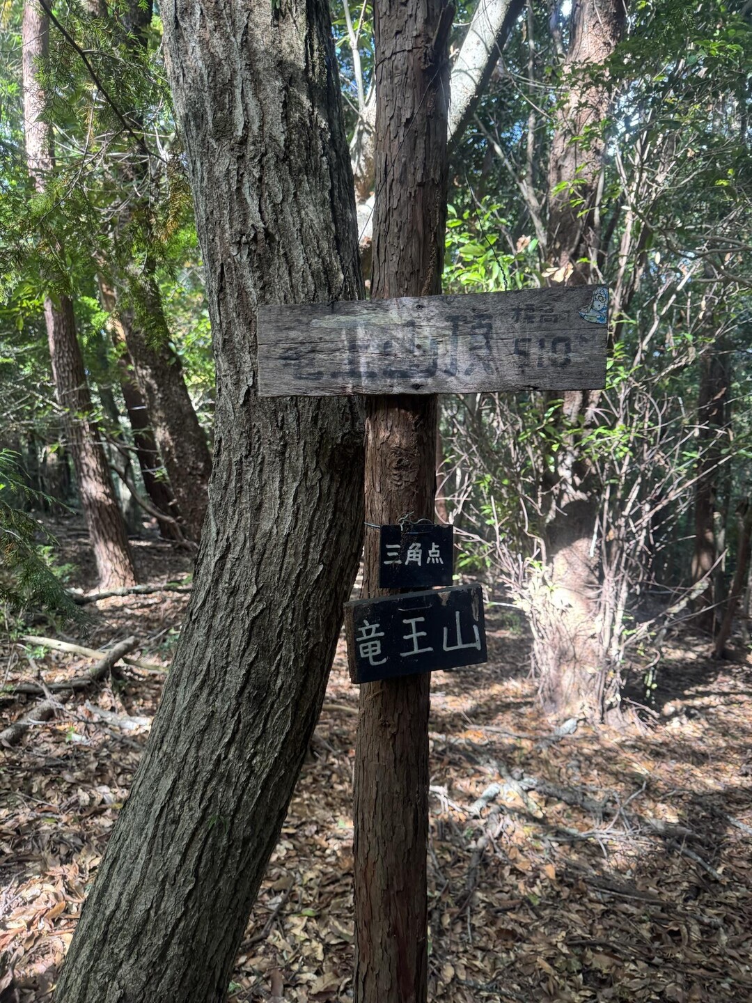 竜王山 / ok.chさんの竜王山・阿武山の活動データ | YAMAP / ヤマップ