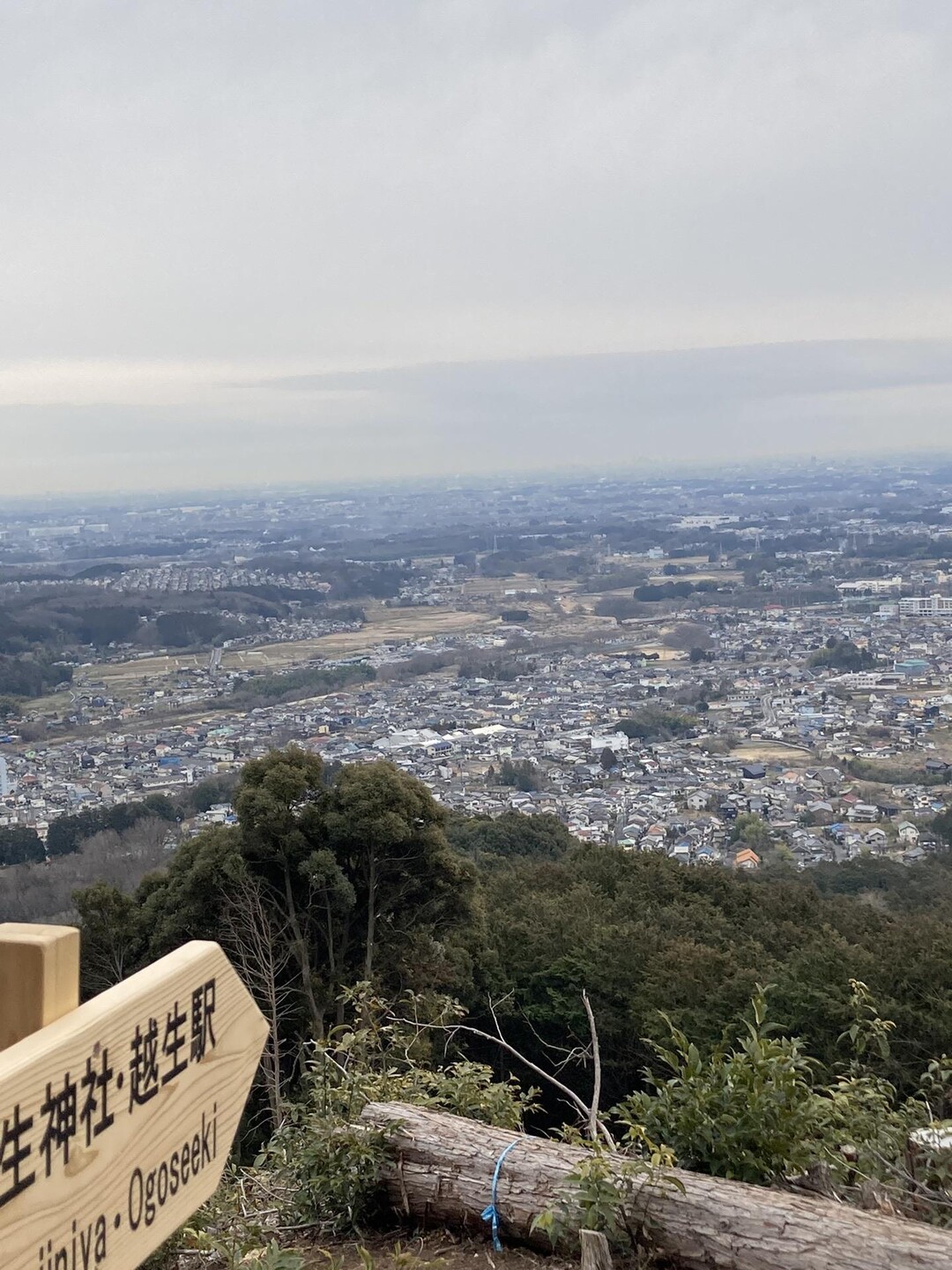 大観山・西山高取・根っこ山・大高取山・桂木山 / いちこさんの大高取山の活動データ | YAMAP / ヤマップ