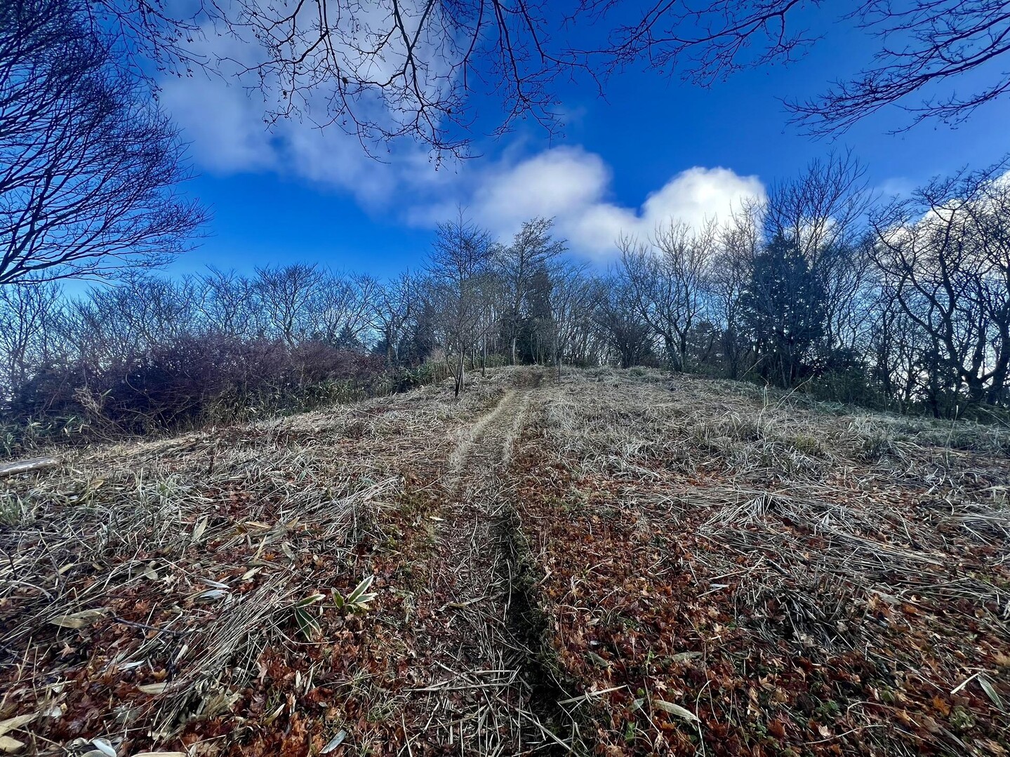 朝からポカポカ陽気☀️大日岳・金剛山 / moboさんの金剛山・二上山・大和葛城山の活動データ | YAMAP / ヤマップ