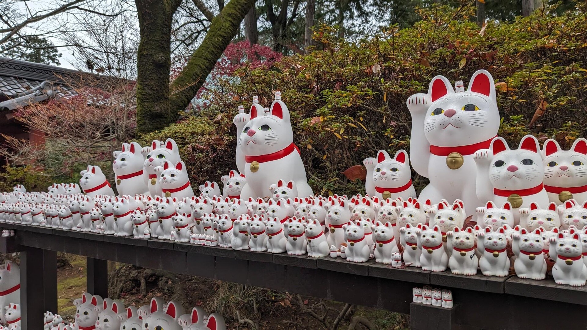 初詣🐍ウォーキング-2025-01-03 / エンゼルフィッシュさんの東京都23区 西エリアの活動データ | YAMAP / ヤマップ