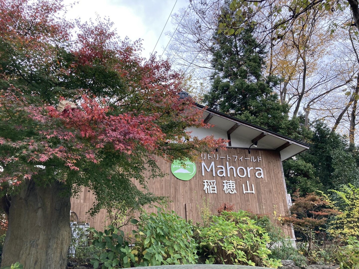 稲穂山 / mmm.stさんの簑山の活動データ | YAMAP / ヤマップ