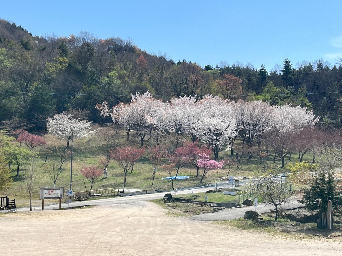 龍王山 / DC2 野郎さんの龍王山の活動データ | YAMAP / ヤマップ