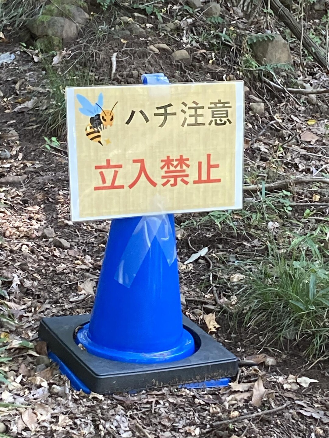 大笠山、夢見山、愛宕山 三座縦走 / meshikoさんの興因寺山・淡雪山・八王子山の活動データ | YAMAP / ヤマップ