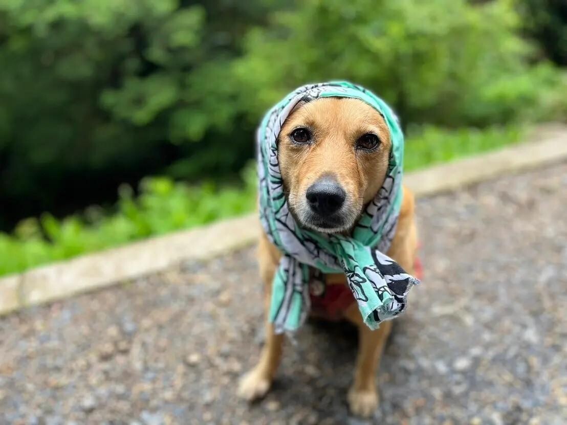 筑波山（女体山）・筑波山（男体山） / KO-HEIさんのヤマノススメ巡礼マップ（筑波山）の活動日記 | YAMAP / ヤマップ