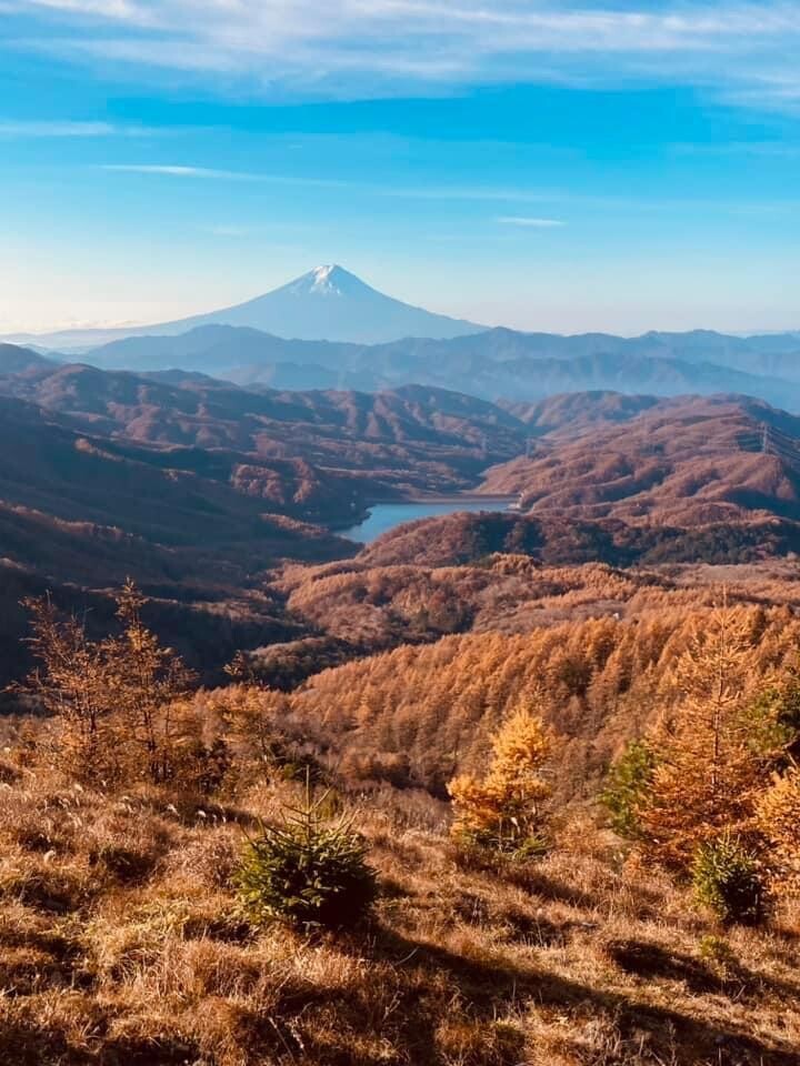 紅葉ハイク大菩薩嶺 / やまねこさんの大菩薩嶺・鶏冠山・大マテイ山の活動データ | YAMAP / ヤマップ