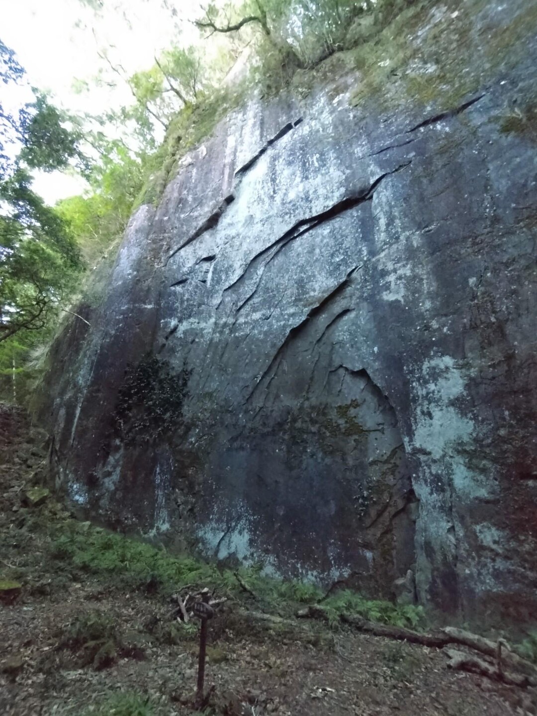 バリエーションルートで双石山（ぼろいしやま）へ / kamoさんの双石山・花切山・岩壺山の活動データ | YAMAP / ヤマップ