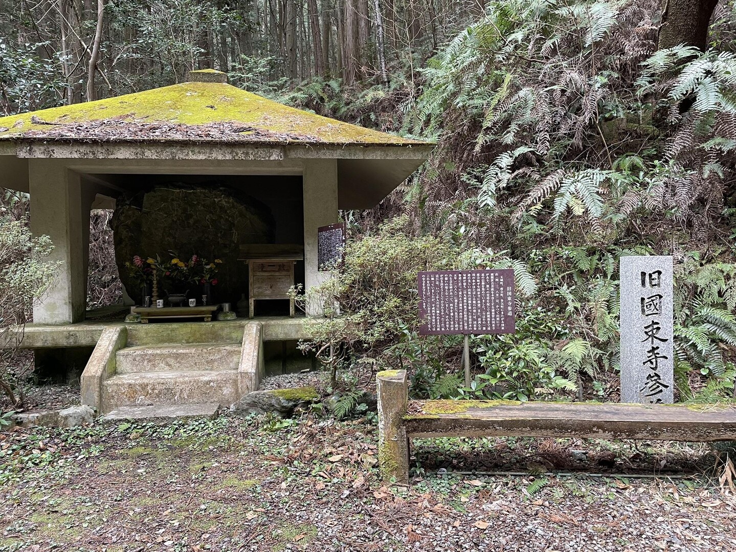 国束山周回ハイク / Mr.NOさんの国束山・大日山の活動データ | YAMAP / ヤマップ