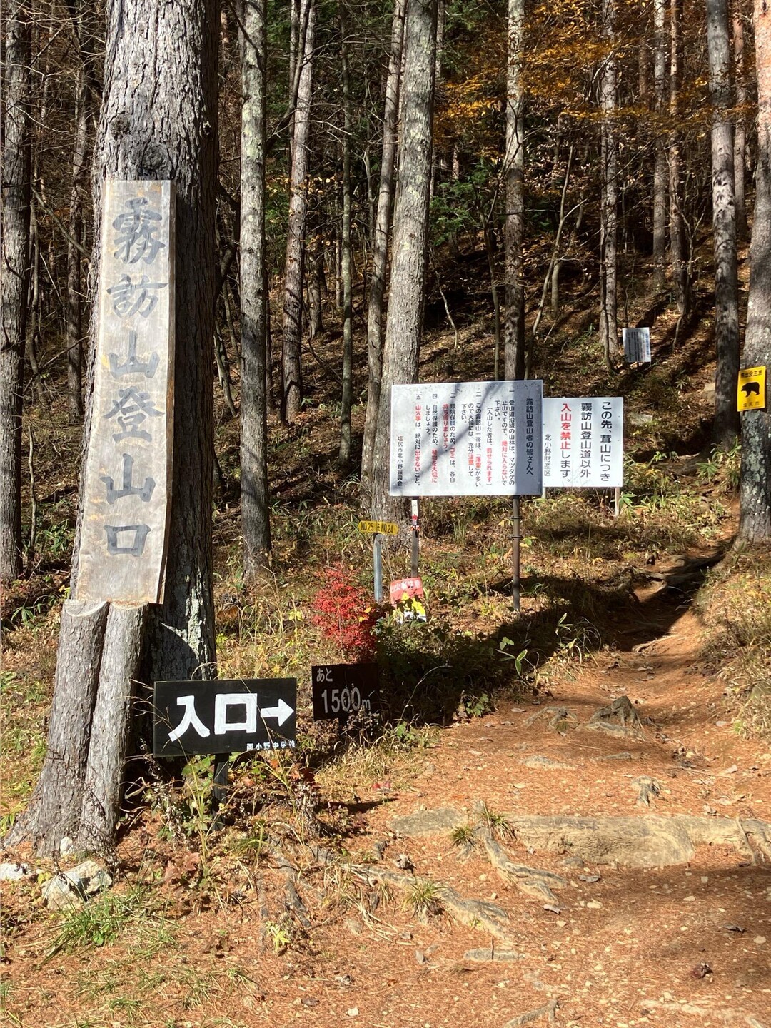 霧訪山 / haiziさんの霧訪山・大芝山・鳴雷山の活動データ | YAMAP / ヤマップ
