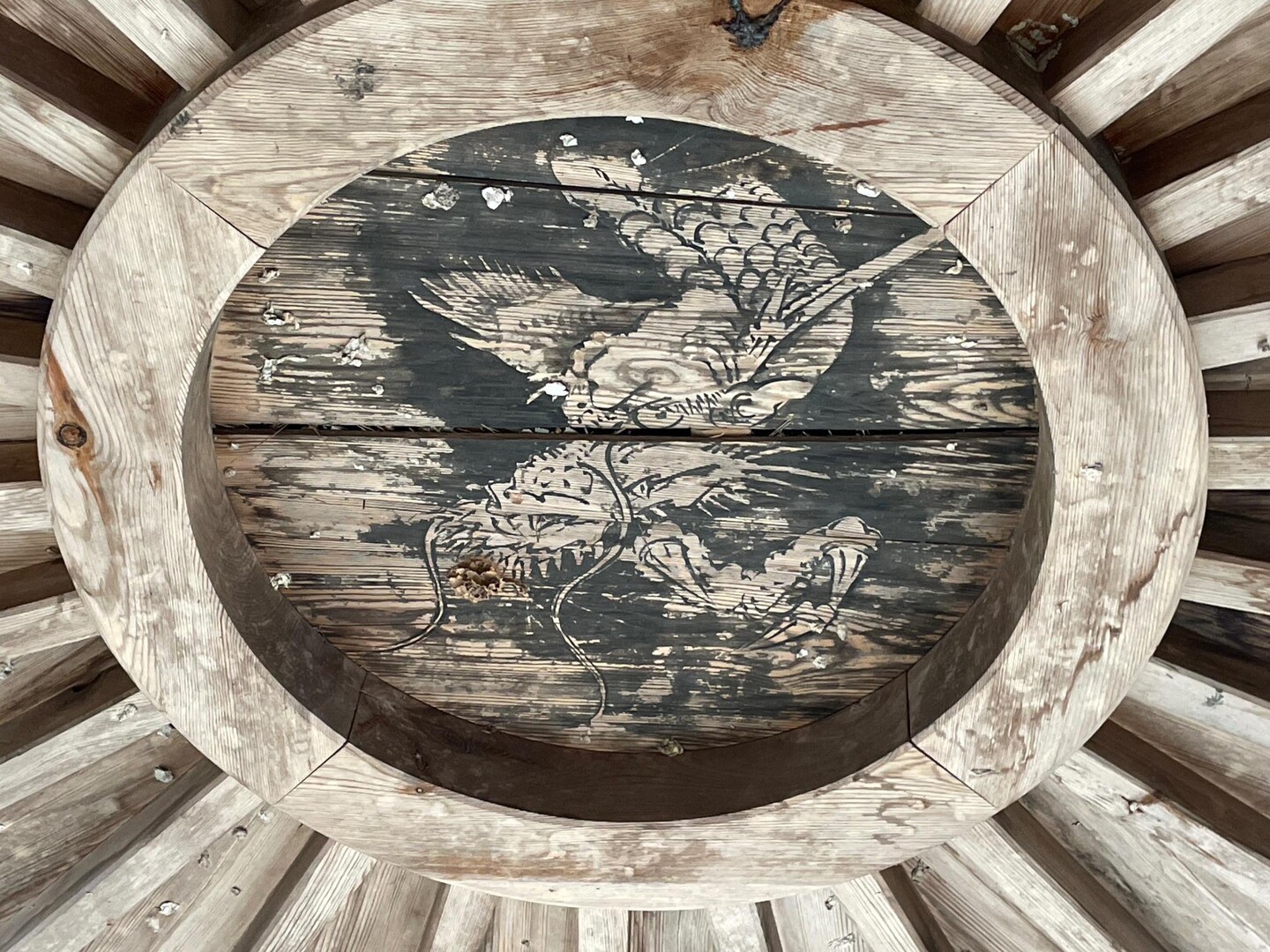 ️峠を越えて筑北里山へ🥾 / sayoさんの虚空蔵山の活動データ | YAMAP / ヤマップ