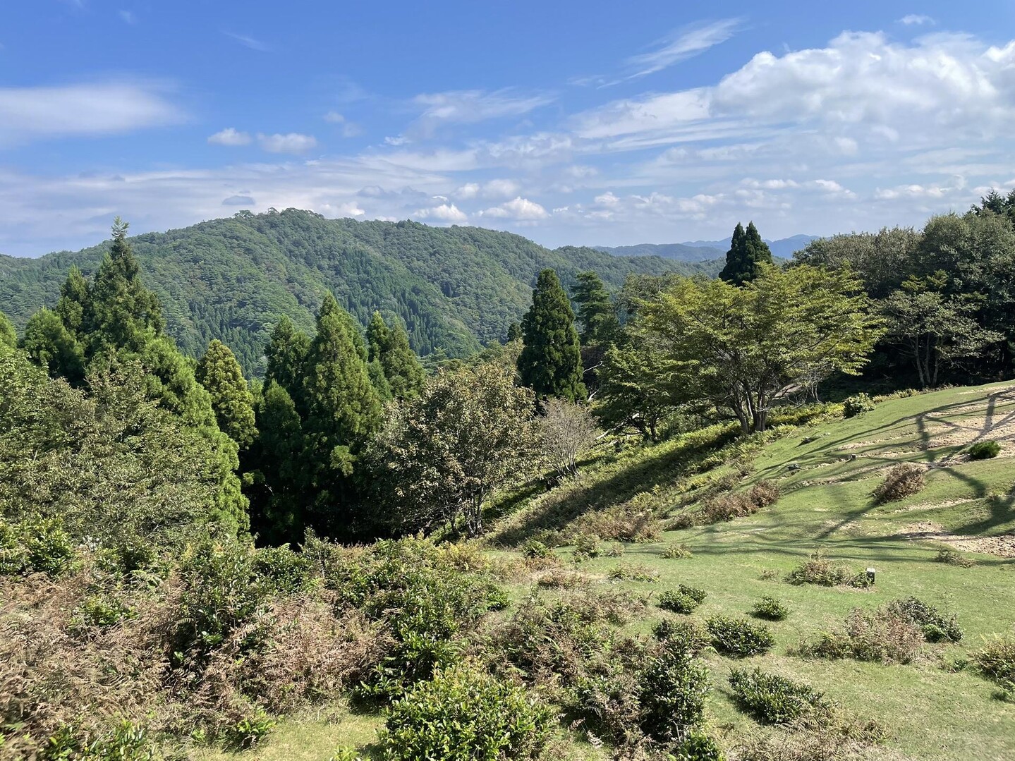 京都 鉢ヶ峰（杉波谷山）【京都100山】 / 🇬🇧TOYO-P🇺🇸さんの白尾山・鉢ヶ峰の活動データ | YAMAP / ヤマップ