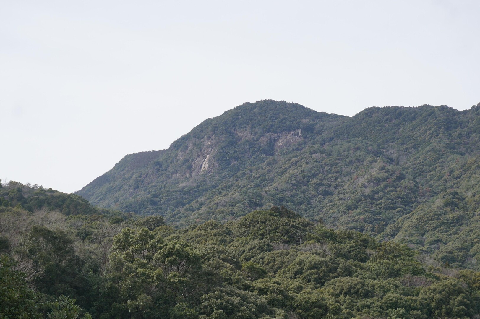 可愛岳の森で、薩軍突囲ルート探索Ⅱ / どらどらさんの可愛岳の活動データ | YAMAP / ヤマップ