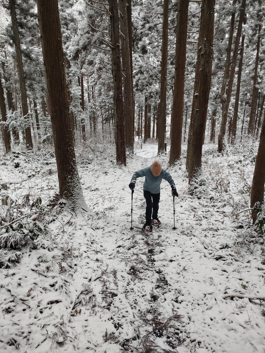 水晶山 / Itoさんの水晶山の活動データ | YAMAP / ヤマップ