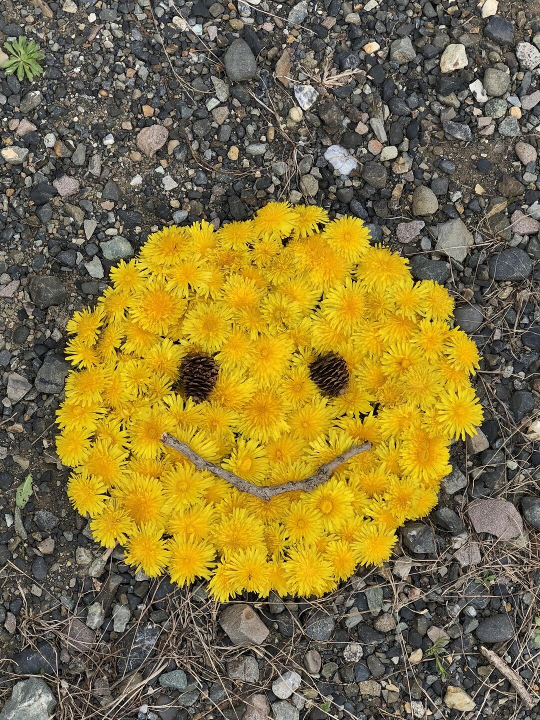 ふぅ〜😮‍💨2日間事務所で1人黙々と... / kyonさんのモーメント | YAMAP / ヤマップ