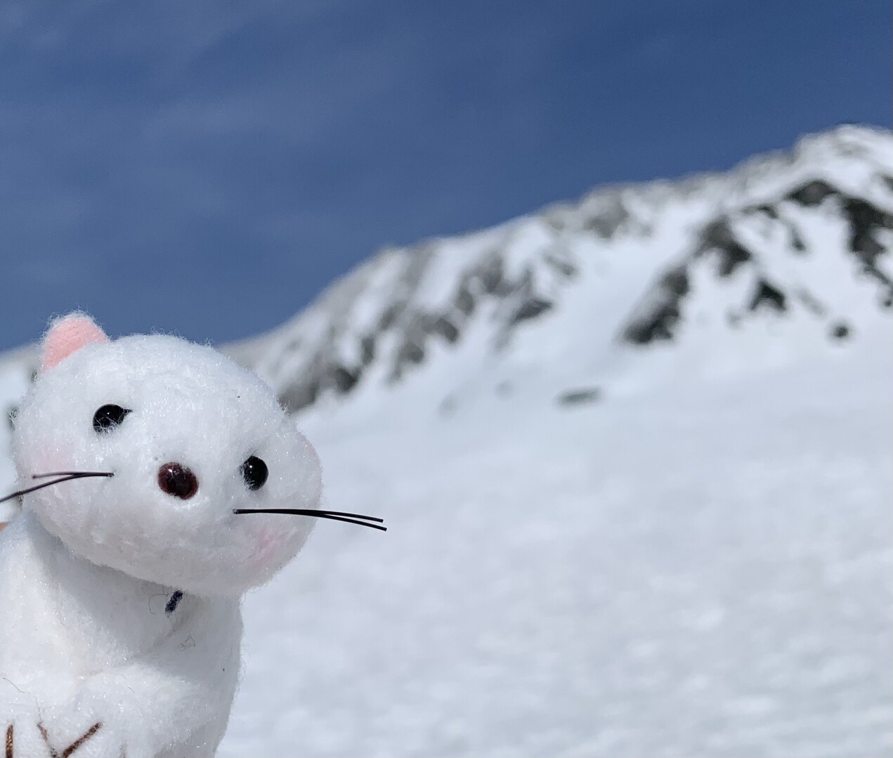 残雪期 立山三山 3日間 / ARさんの立山・雄山・浄土山の活動データ | YAMAP / ヤマップ