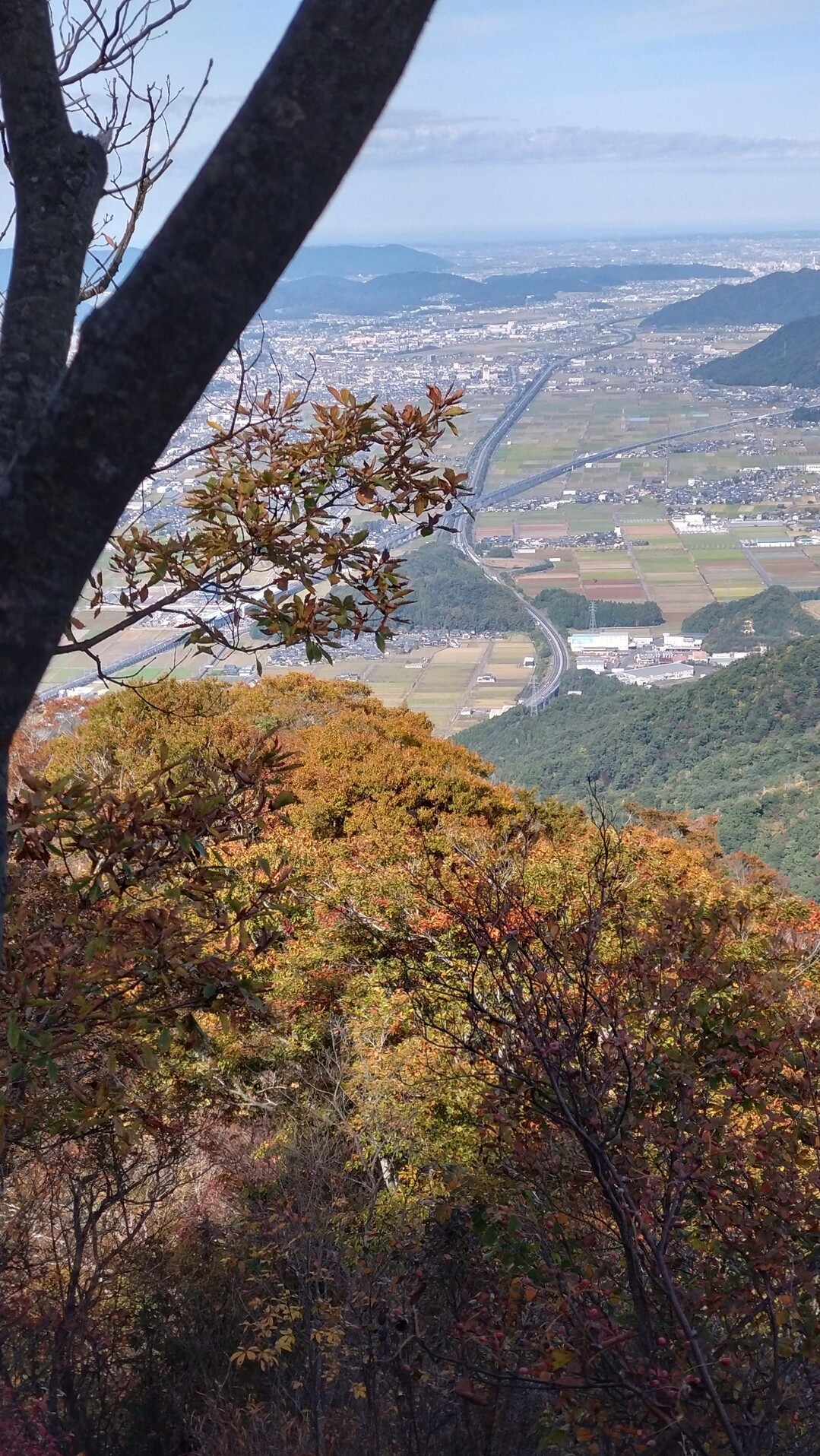 日野山の秋 / skyさんの日野山の活動データ | YAMAP / ヤマップ